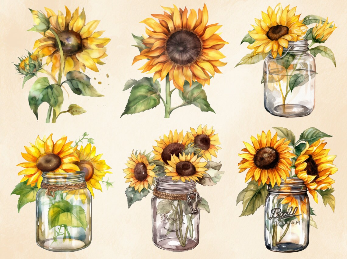 21 PNG Watercolor Sunflower Clipart, Bundle Sunflower Clip Art ...