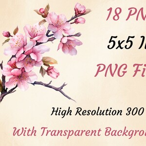 Watercolor Cherry Blossom Clipart: Spring Floral PNG Bundle (digital ...