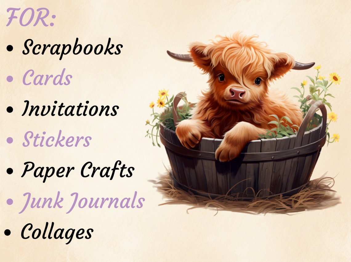 12 PNG Watercolor Spring Highland Cow Clipart, Cute Baby Cows, Cow ...