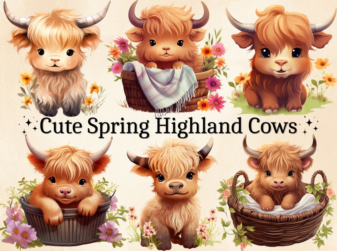 12 PNG Watercolor Spring Highland Cow Clipart, Cute Baby Cows, Cow ...