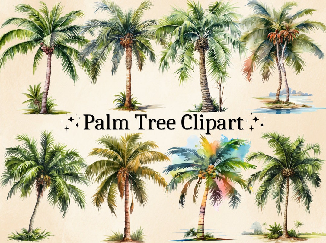 16 PNG Watercolor Palm Tree Clipart, Tropical Trees Clipart, Summer ...