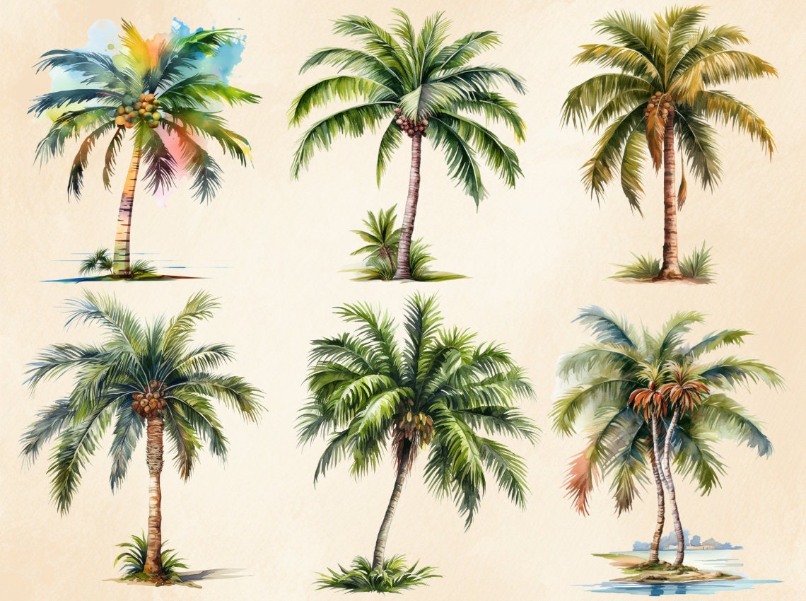 16 PNG Watercolor Palm Tree Clipart, Tropical Trees Clipart, Summer ...