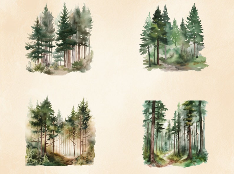 16 PNG Watercolor Pine Forest Clipart, Forest Tree Clip Art, Woodland ...