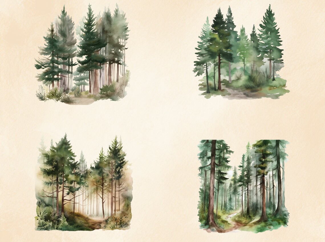 16 PNG Watercolor Pine Forest Clipart, Forest Tree Clip Art, Woodland ...