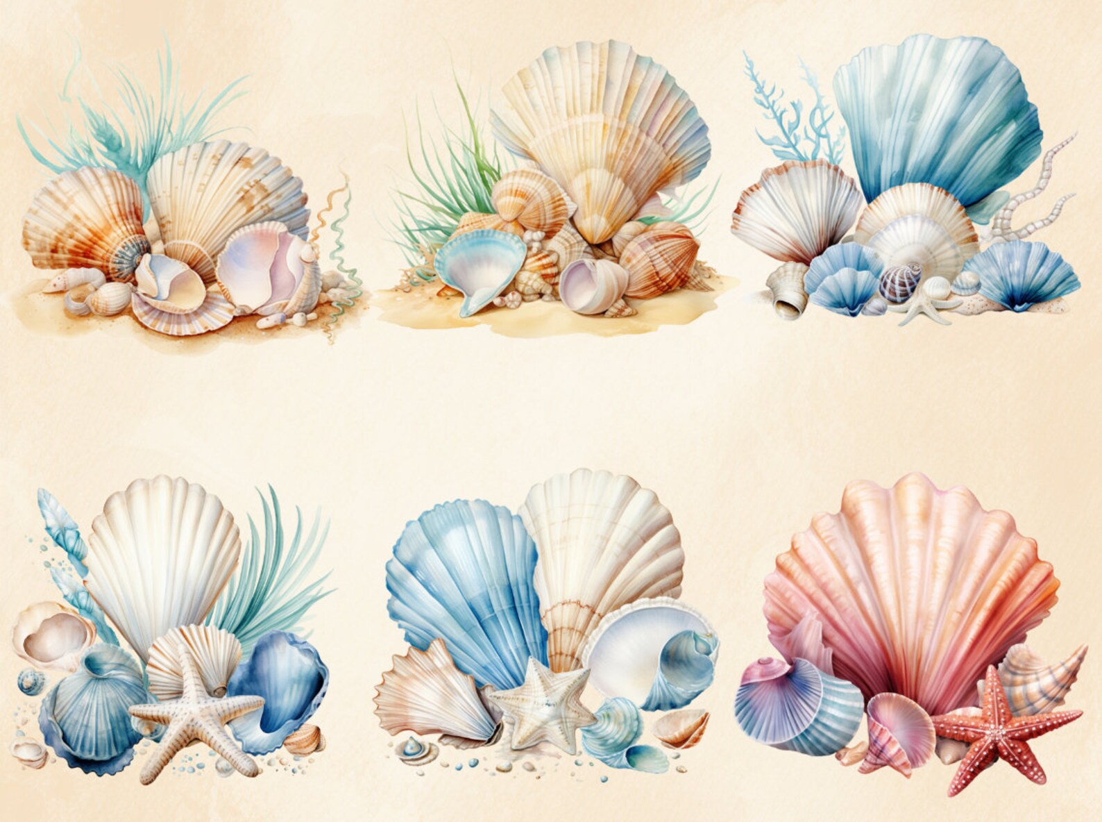 18 PNG Watercolor Seashell Clipart, Ocean Clipart, Beach Clipart ...