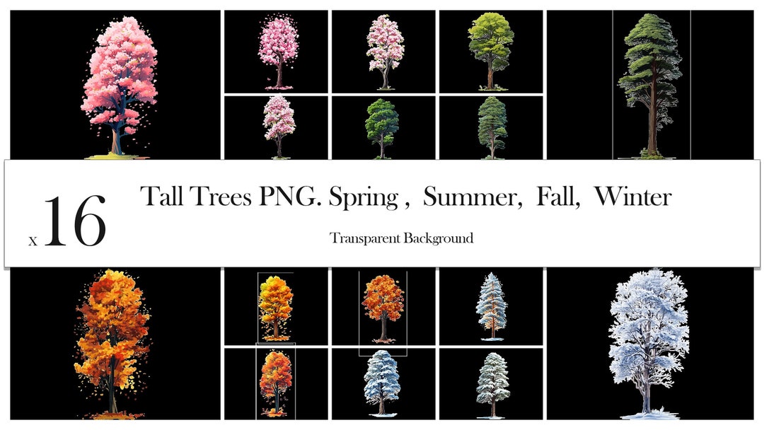 Tall Trees PNG Spring Summer Fall Winter 4 of Each Transparent ...