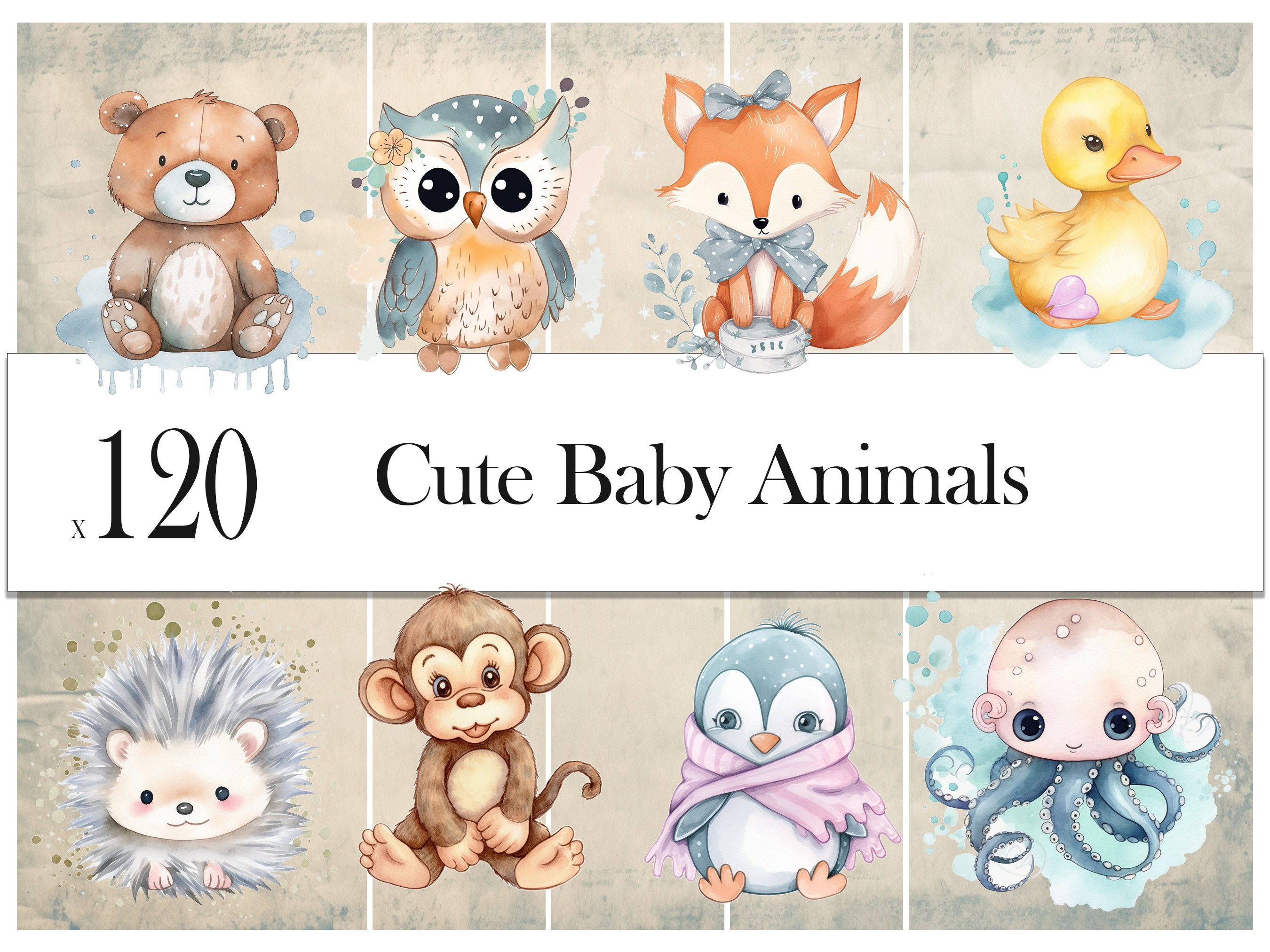 Cute Baby Animal Cliparts Instant Download Commercial Use Transparent ...