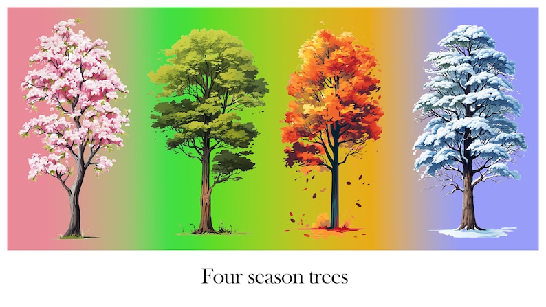 Tall Trees PNG Spring Summer Fall Winter 4 of Each Transparent ...