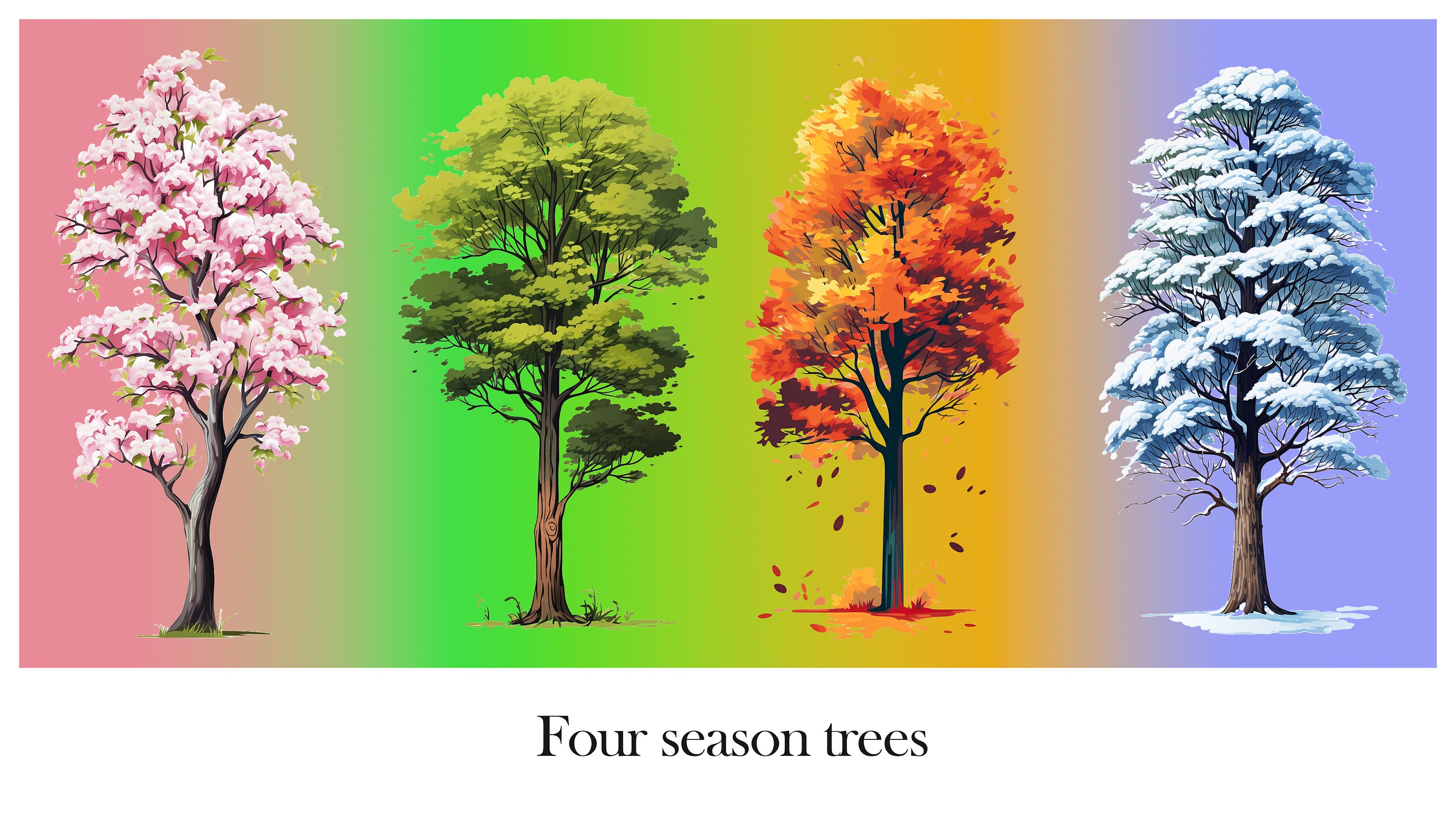 Tall Trees PNG Spring Summer Fall Winter 4 of Each Transparent ...