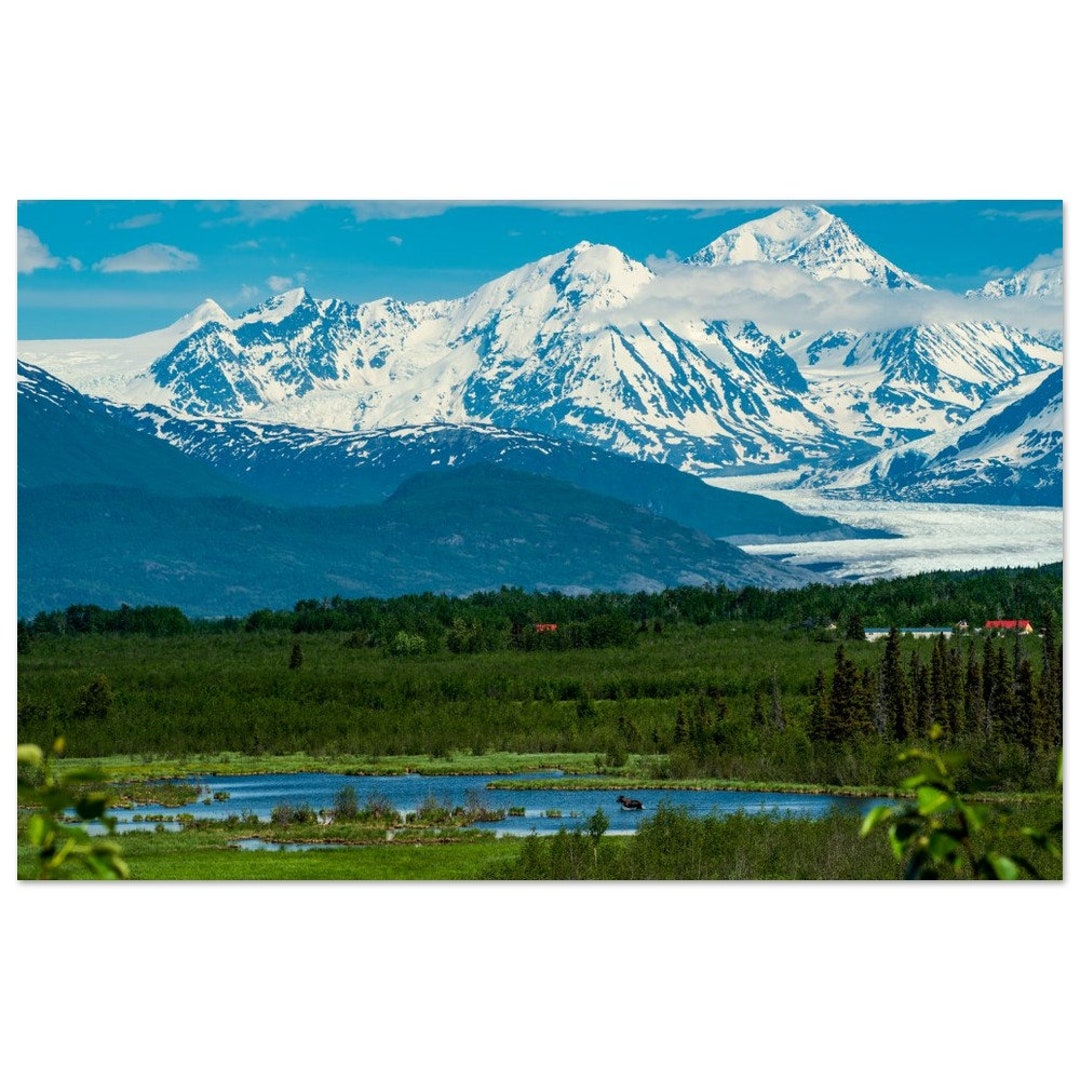 A Truly Alaskan Scene: Moose and Mountains | Poster Prints, Framed ...