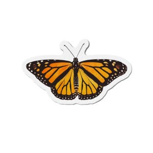 Monarch Butterfly Magnets - Etsy