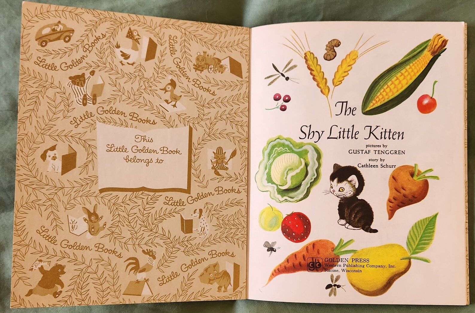 The Shy Little Kitten | 11th Printing 1977 | A Little Golden Book - Etsy