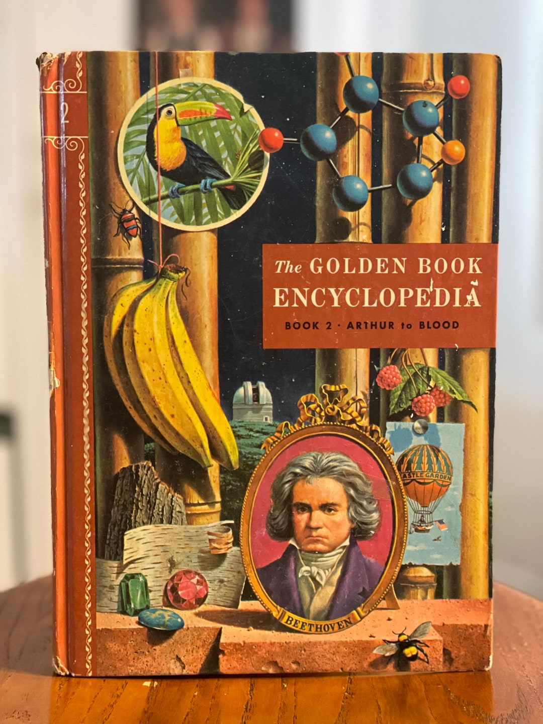 The Golden Book Encyclopedia | Book 2 - Arthur to Blood by Bertha ...