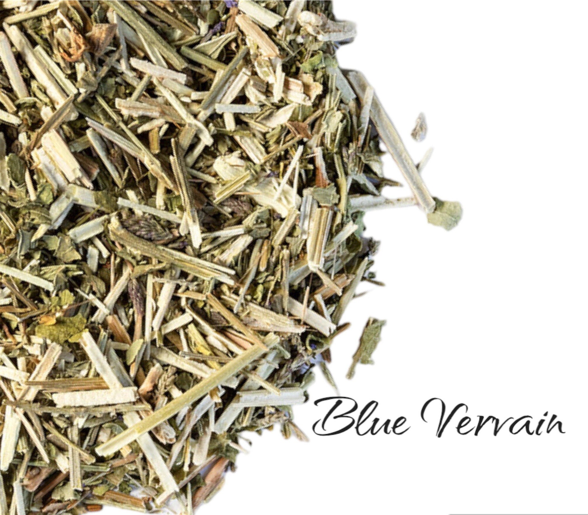 BLUE VERVAIN Organic Herbs Tea Incense Remedies Natural - Etsy