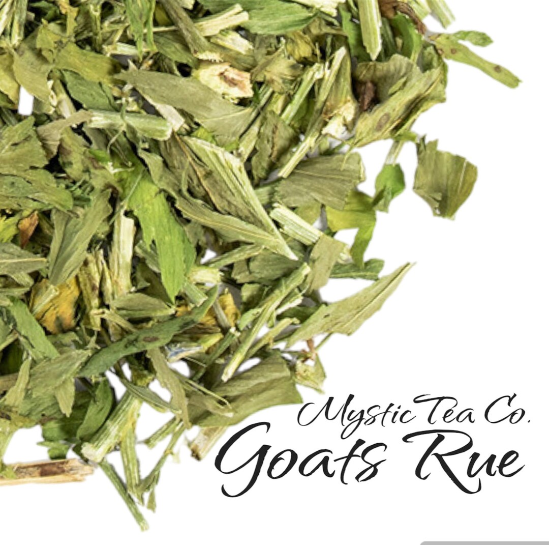 GOATS RUE Organic Herbs Tea, Incense, Remedies, Natural ,herbal Leaf ...
