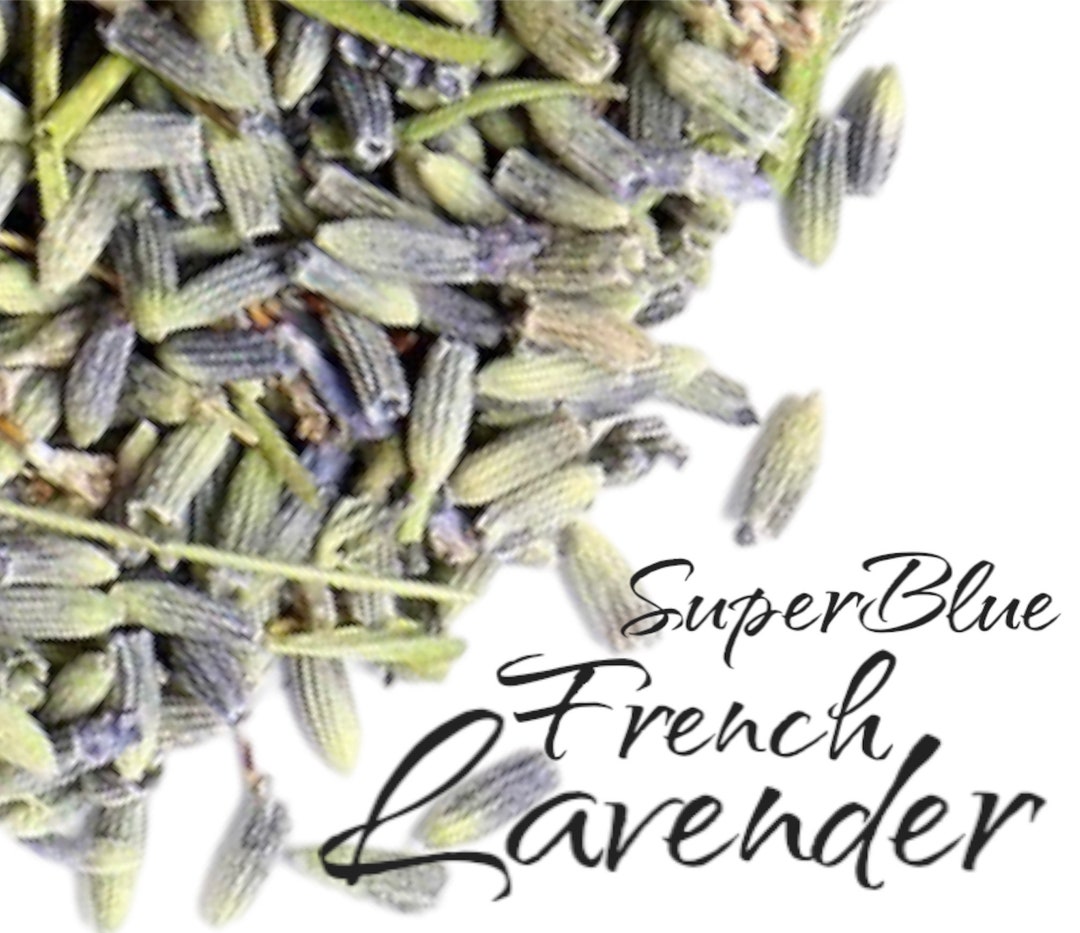 FRENCH LAVENDER, Super Blue, Organic Herbs ,tea, Incense, Remedies ...