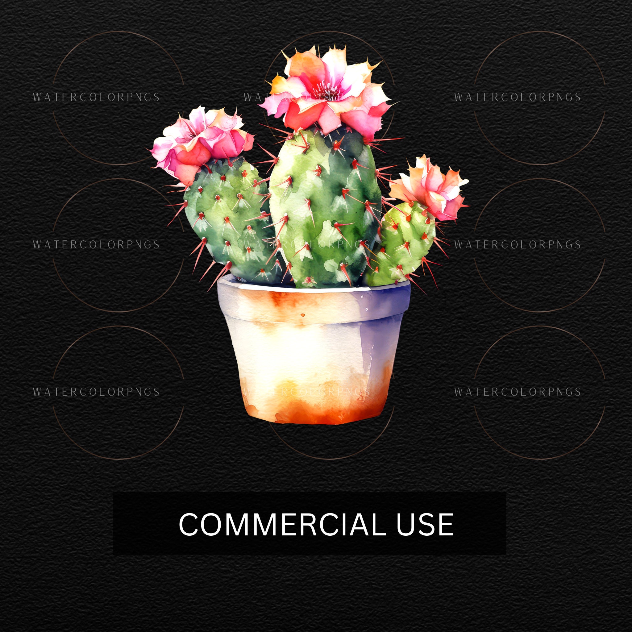 Watercolor Cactus Clipart, Desert Cacti, Desert Landscape, Instant ...