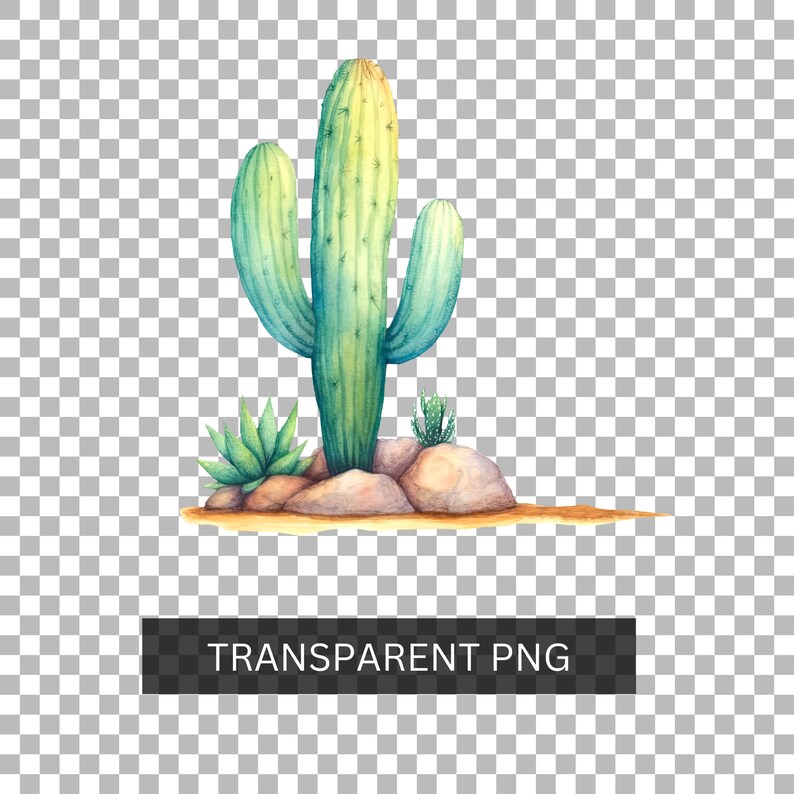 Watercolor Cactus Clipart Desert Cacti Desert Landscape - Etsy