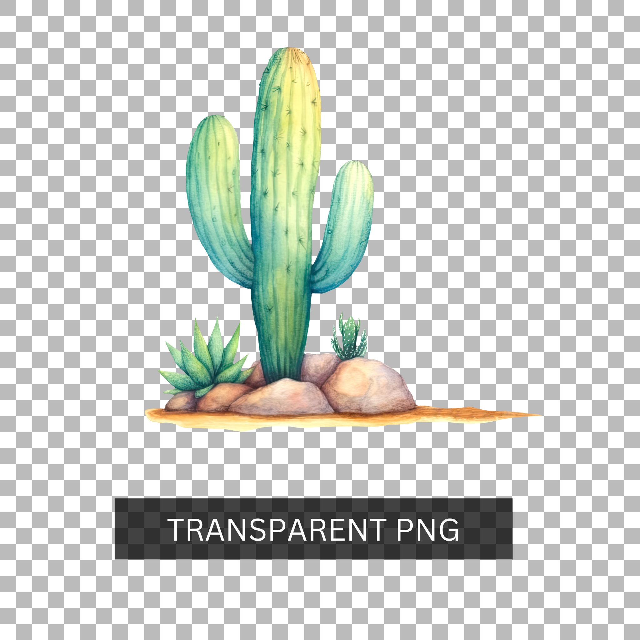 Watercolor Cactus Clipart Desert Cacti Desert Landscape - Etsy