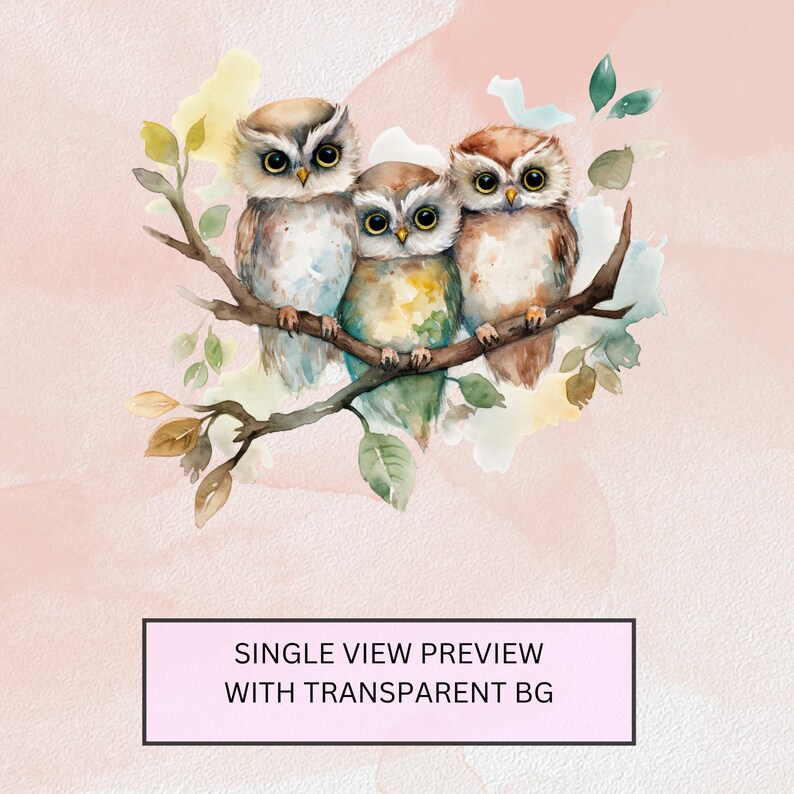 Watercolor Cute Owls Clipart Mega Pack, Transparent Pngs, Baby Owls ...