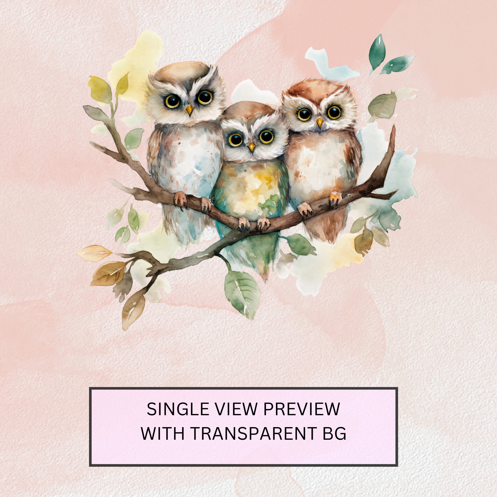 Watercolor Cute Owls Clipart Mega Pack, Transparent Pngs, Baby Owls ...