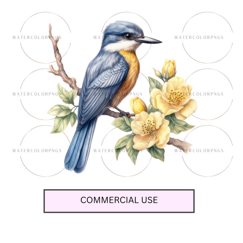 Watercolor Birds Clipart Bundle, Spring Birds Clipart, Birds on Branch ...