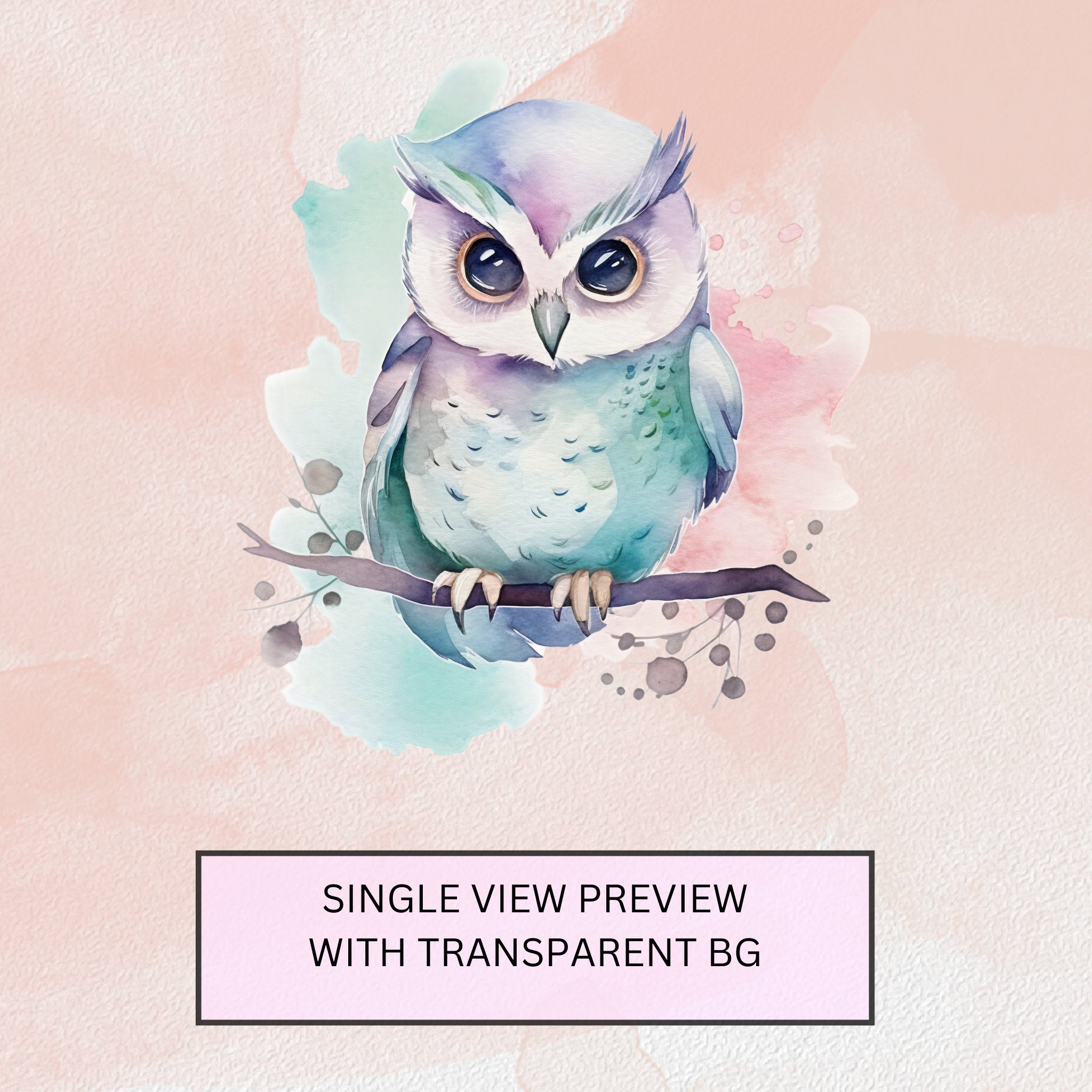Watercolor Cute Owls Clipart Mega Pack, Transparent Pngs, Baby Owls ...