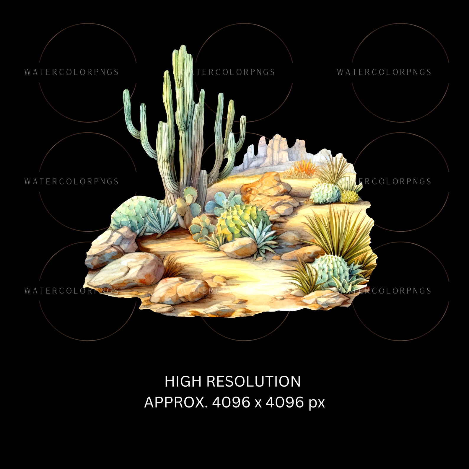 Watercolor Cactus Clipart, Desert Cacti, Desert Landscape, Instant ...