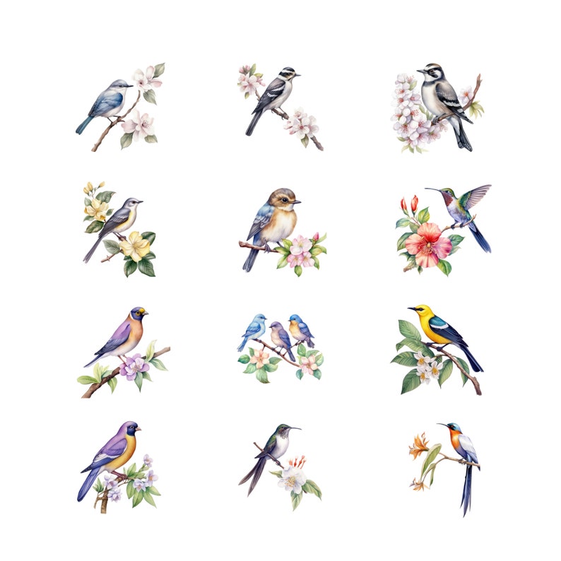 Watercolor Birds Clipart Bundle, Spring Birds Clipart, Birds on Branch ...