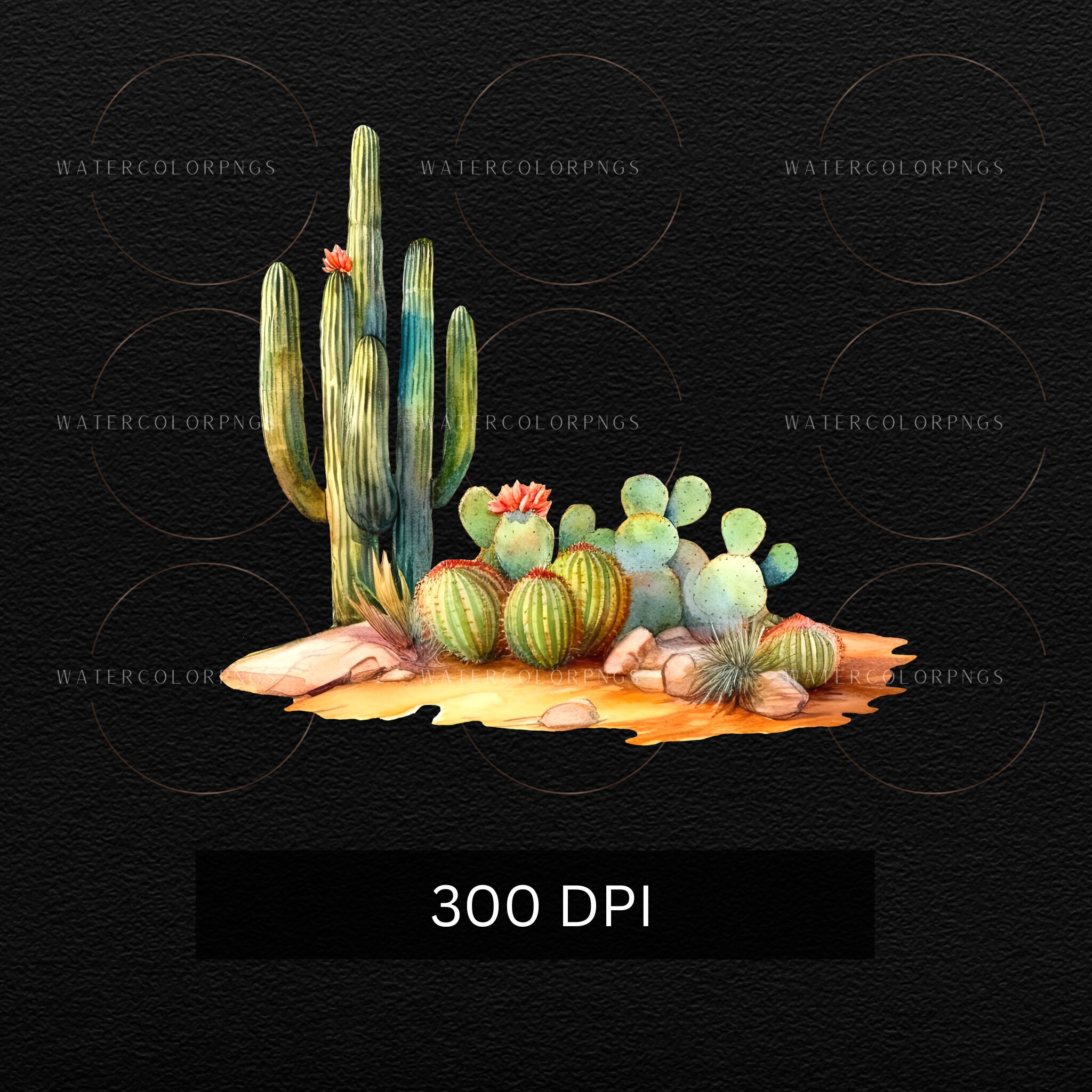 Watercolor Cactus Clipart, Desert Cacti, Desert Landscape, Instant ...