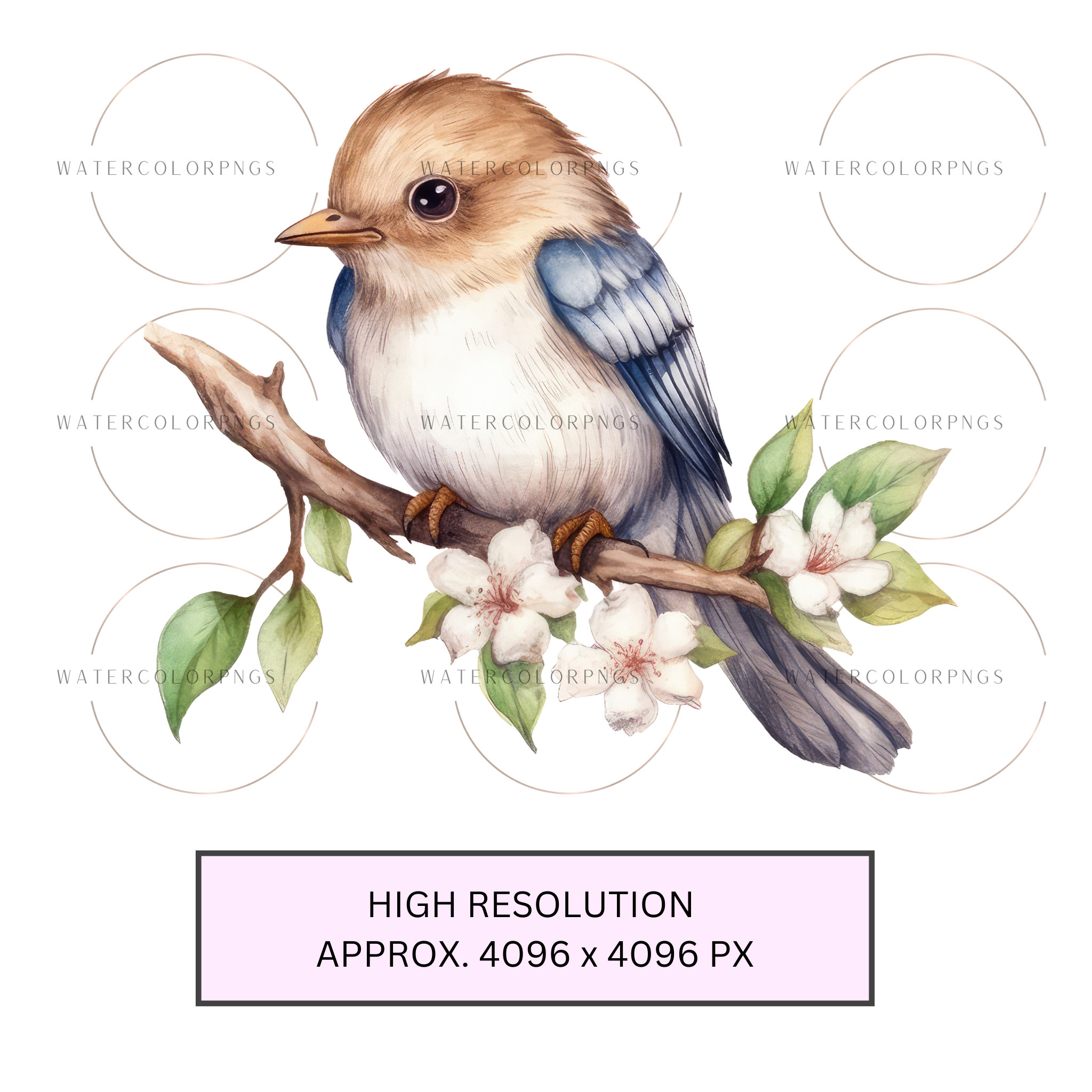 Watercolor Birds Clipart Bundle, Spring Birds Clipart, Birds on Branch ...