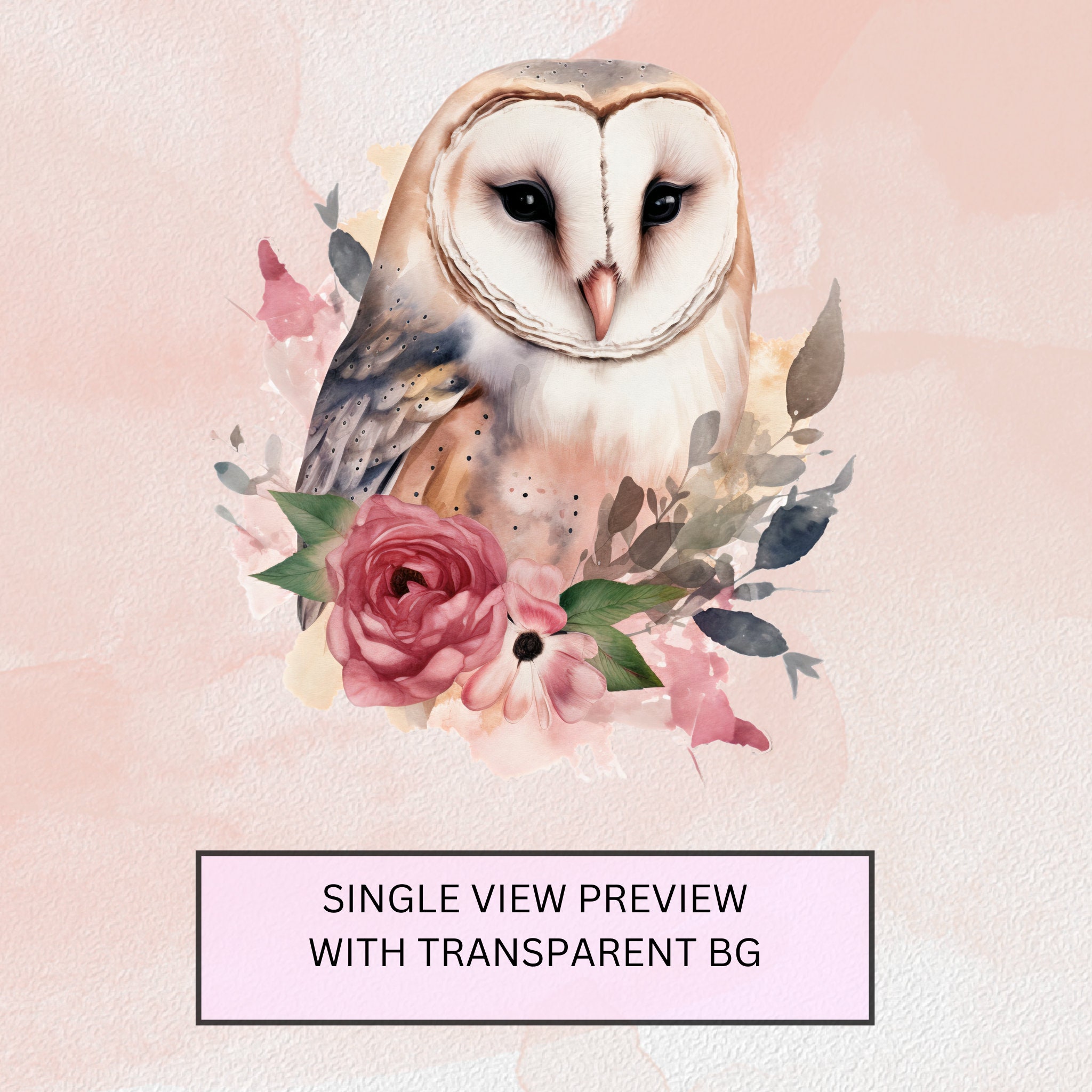 Watercolor Cute Owls Clipart Mega Pack, Transparent Pngs, Baby Owls ...