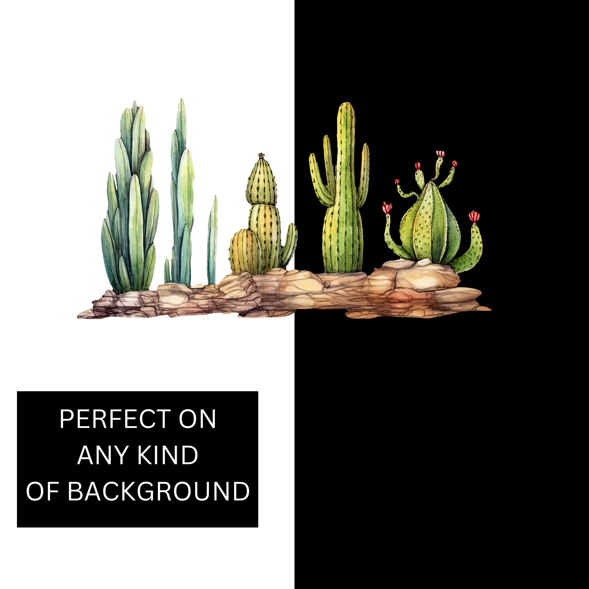 Watercolor Cactus Clipart Desert Cacti Desert Landscape - Etsy