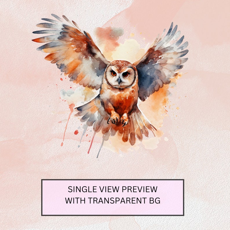 Watercolor Cute Owls Clipart Mega Pack, Transparent Pngs, Baby Owls ...