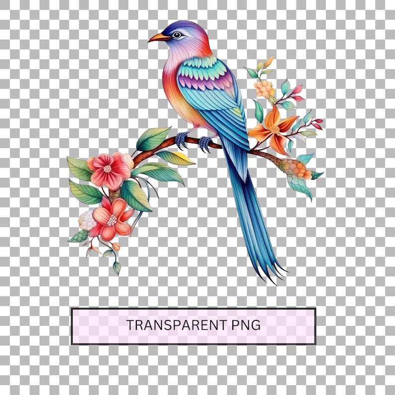 Watercolor Birds Clipart Bundle, Spring Birds Clipart, Birds on Branch ...