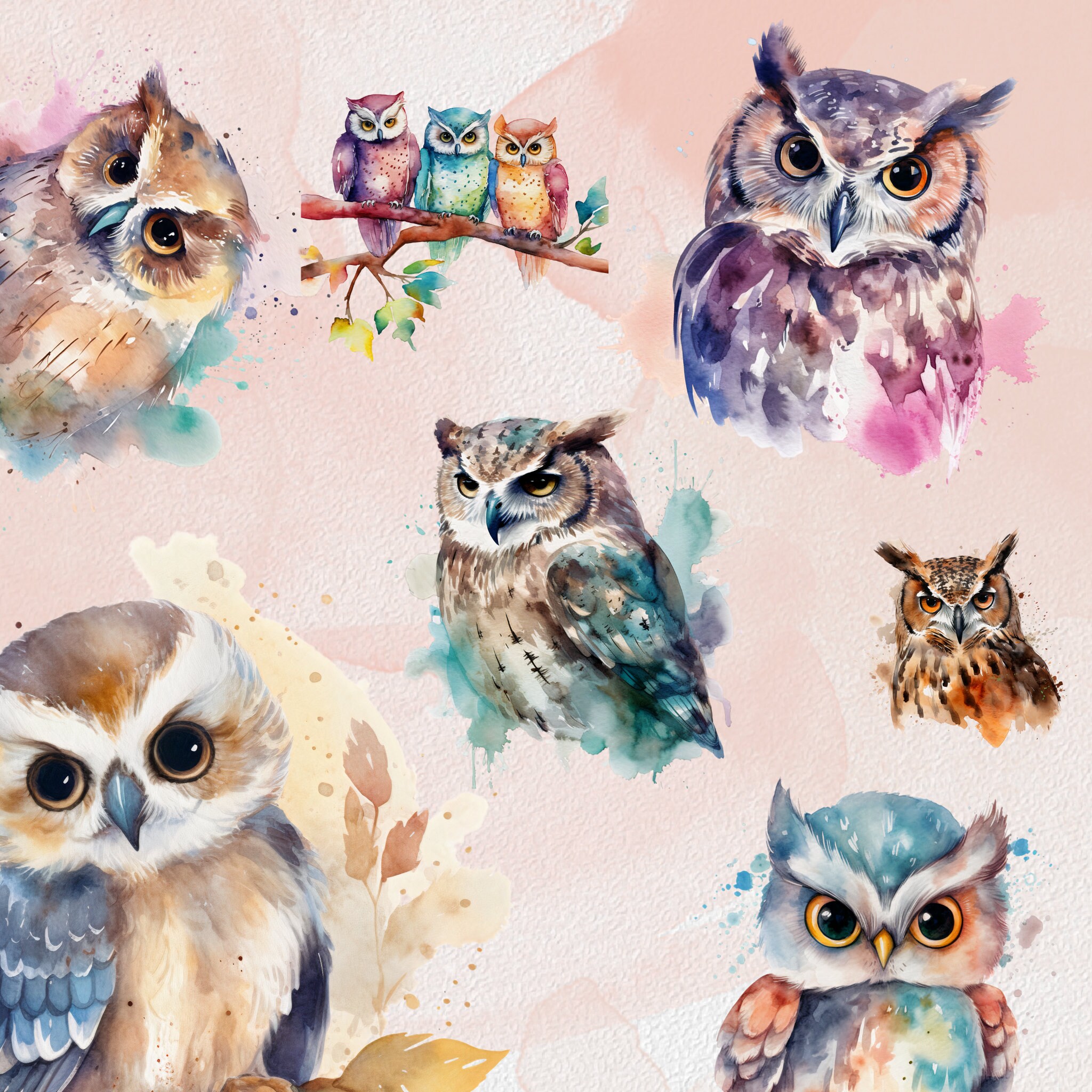 Watercolor Cute Owls Clipart Mega Pack, Transparent Pngs, Baby Owls ...