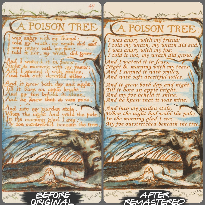 William Blake A Poison Tree Satin Poster / Songs of Innocence and ...