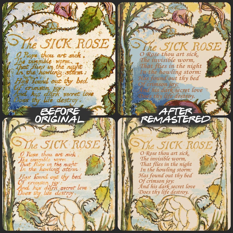 William Blake the Sick Rose Satin Poster / Songs of Innocence and ...
