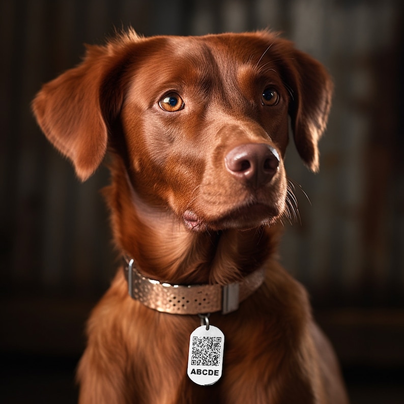 Personalized QR Code Dog Tags Connect With Style - Etsy