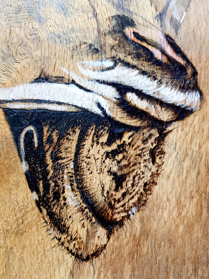 Wall Art Deco, Pyrography, Wild Animals. - Etsy Australia