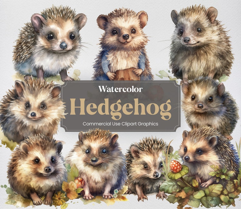 Watercolor Hedgehog, 36 Cute Hedgehogs, Armadilos and Echidnas Digital ...