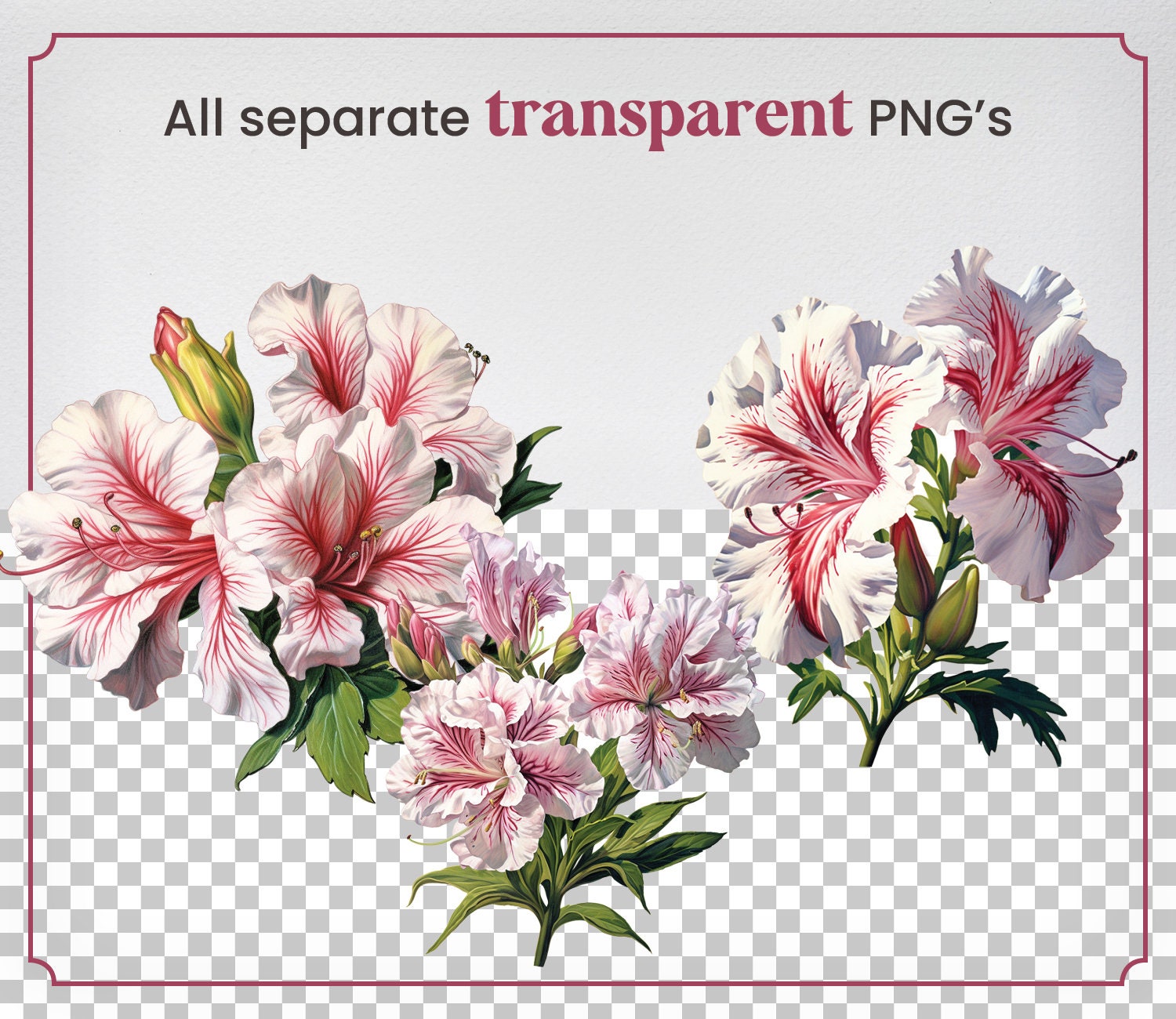 Watercolor Azalea, 29 Azaleas Spring Plants Flowers Flora Vegetation ...