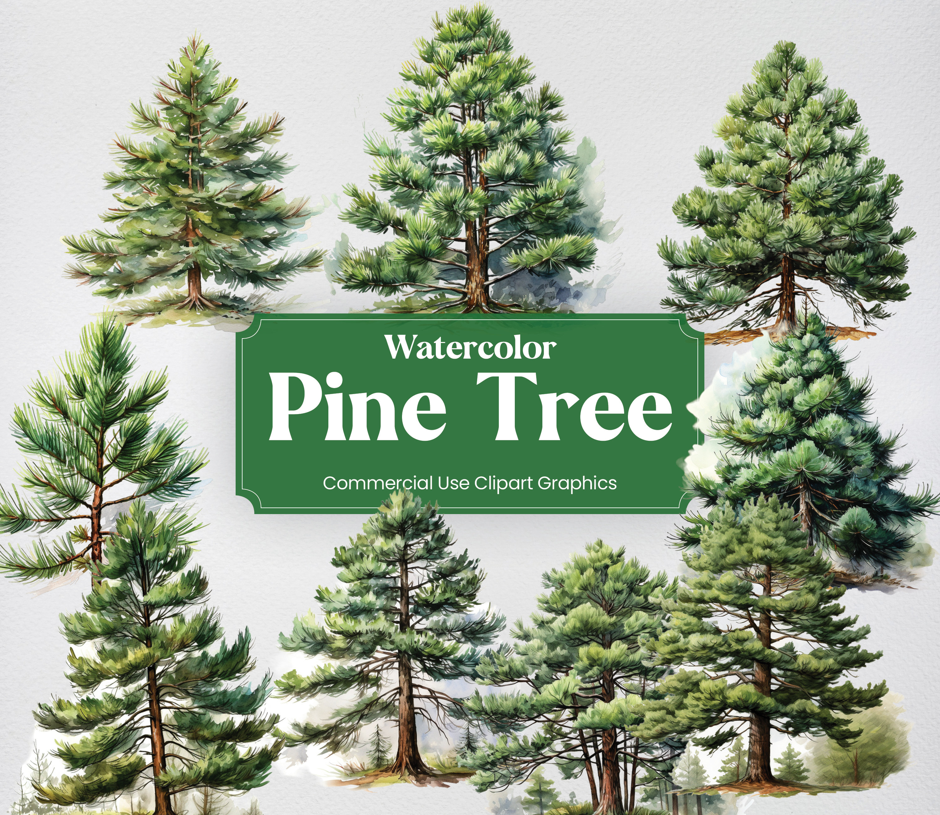 Watercolor Pine Tree, 20 Pine Trees, Flowers Plants Spring Floral ...