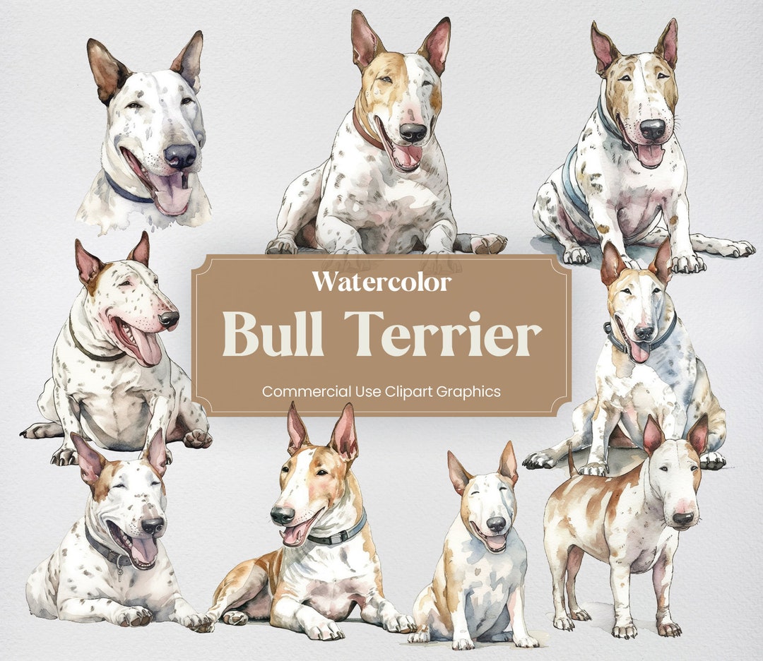 Watercolor Bull Terrier Dog Clipart, 23 Animal Digital Clip Art, PNG ...