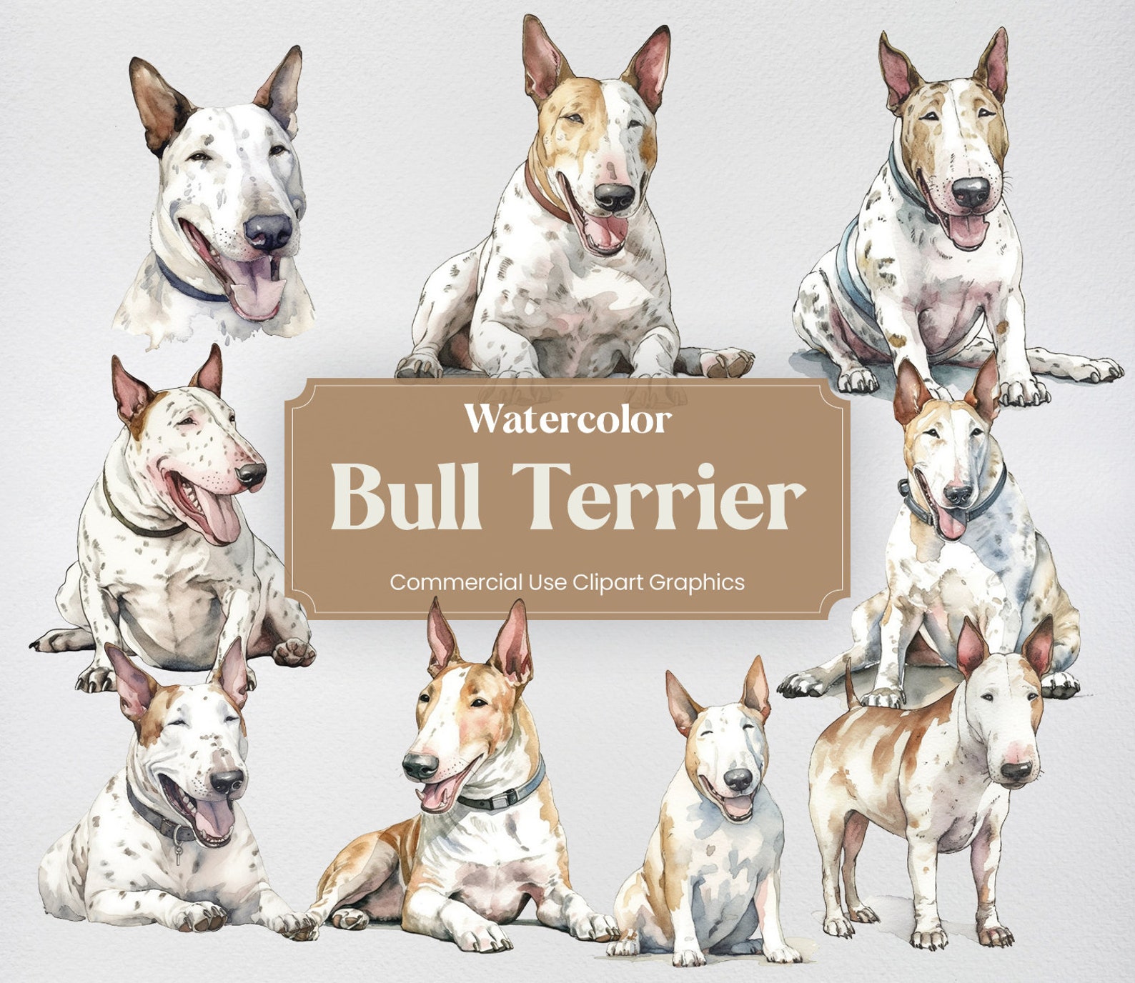 Watercolor Bull Terrier Dog Clipart 23 Animal Digital Clip - Etsy UK