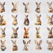 Watercolor Rabbit, 40 Rabbits Clipart, Baby Bunny Hare Animal Digital ...