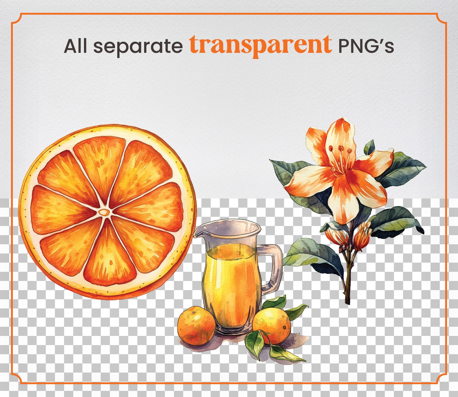 Watercolor Orange 20 Oranges Fruit Clipart Plants and Trees - Etsy