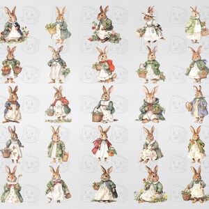 Watercolor Rabbit in Dress Clipart, 25 Cute Clip Art, Animal Digital ...