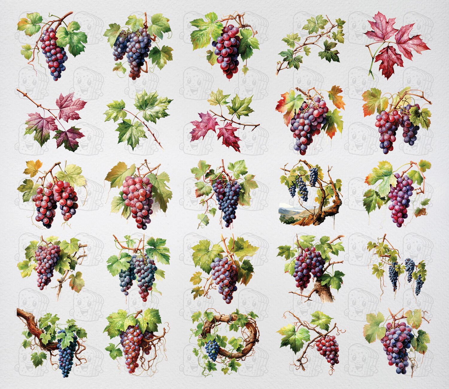 Watercolor Grapevine, 20+ Grapevines, Flowers Plants Spring Floral ...
