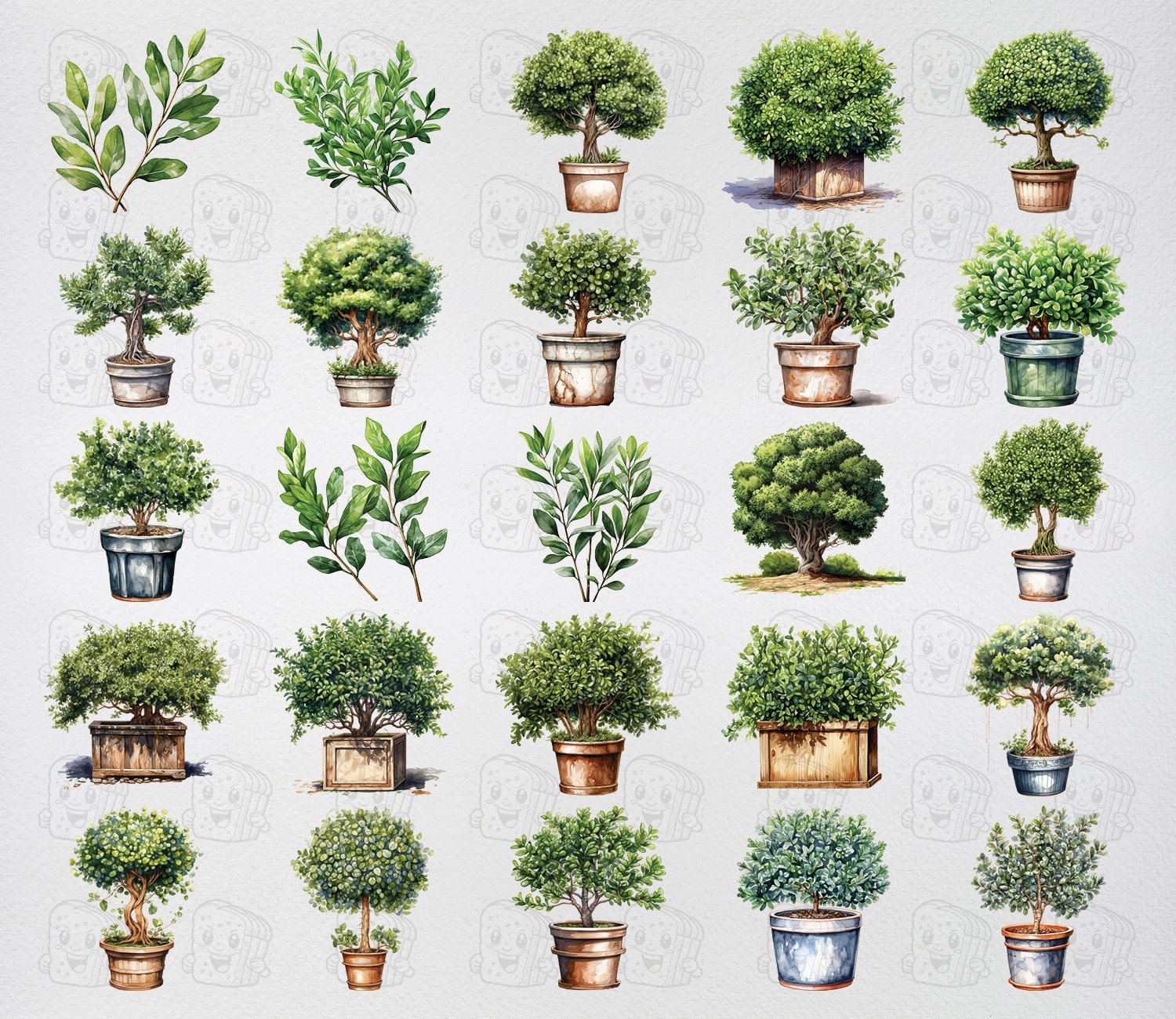 Watercolor Boxwood, 28 Boxwoods, Flowers Plants Spring Floral Bouquet ...